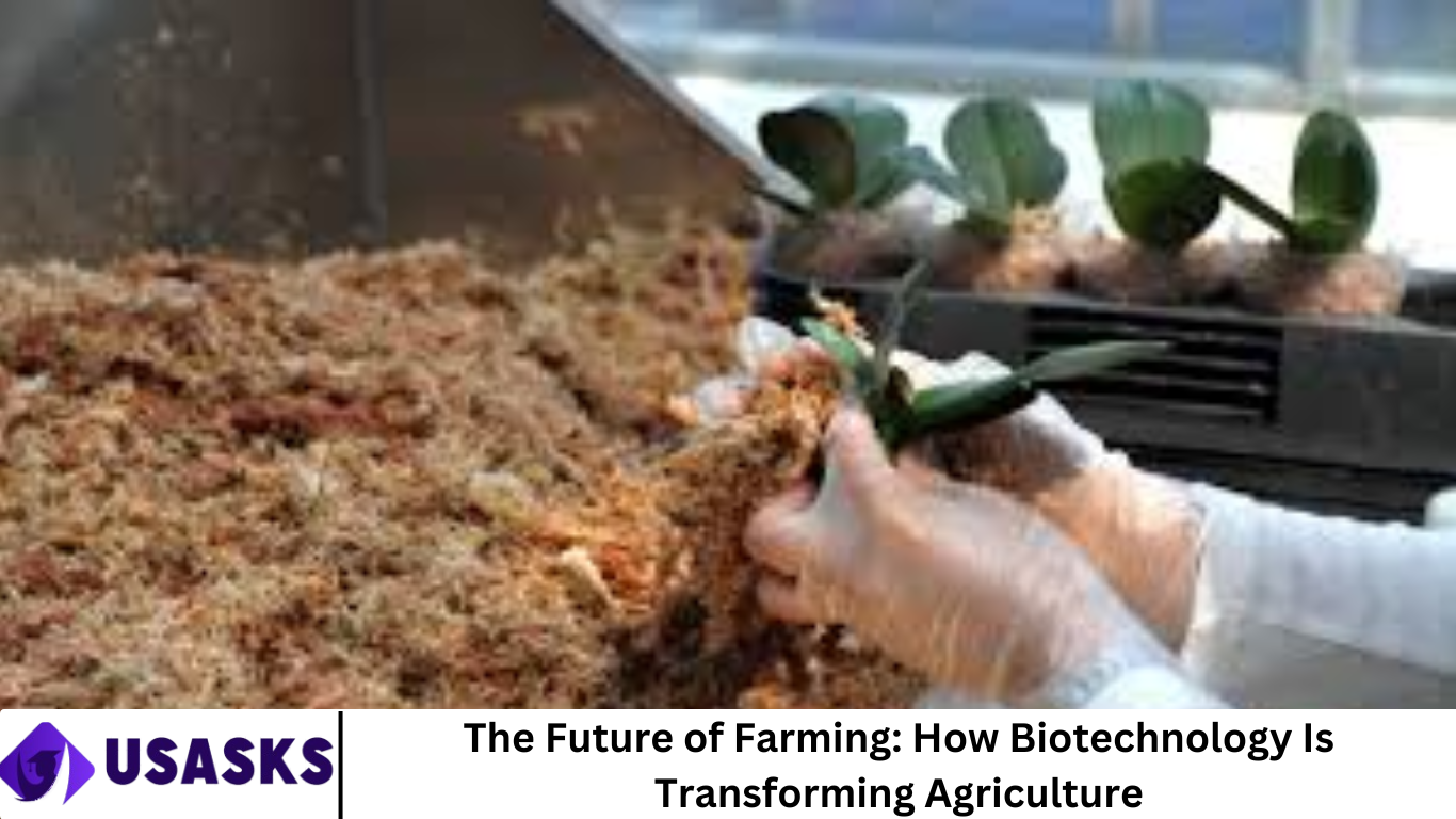 The Future of Farming: How Biotechnology Is Transforming Agriculture ...